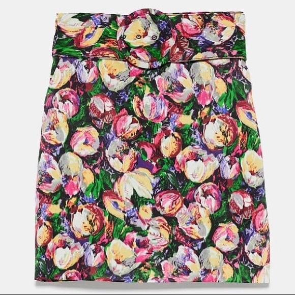 Zara | Skirts | Zara Limited Edition Mini Skirt Nwt | Poshmark